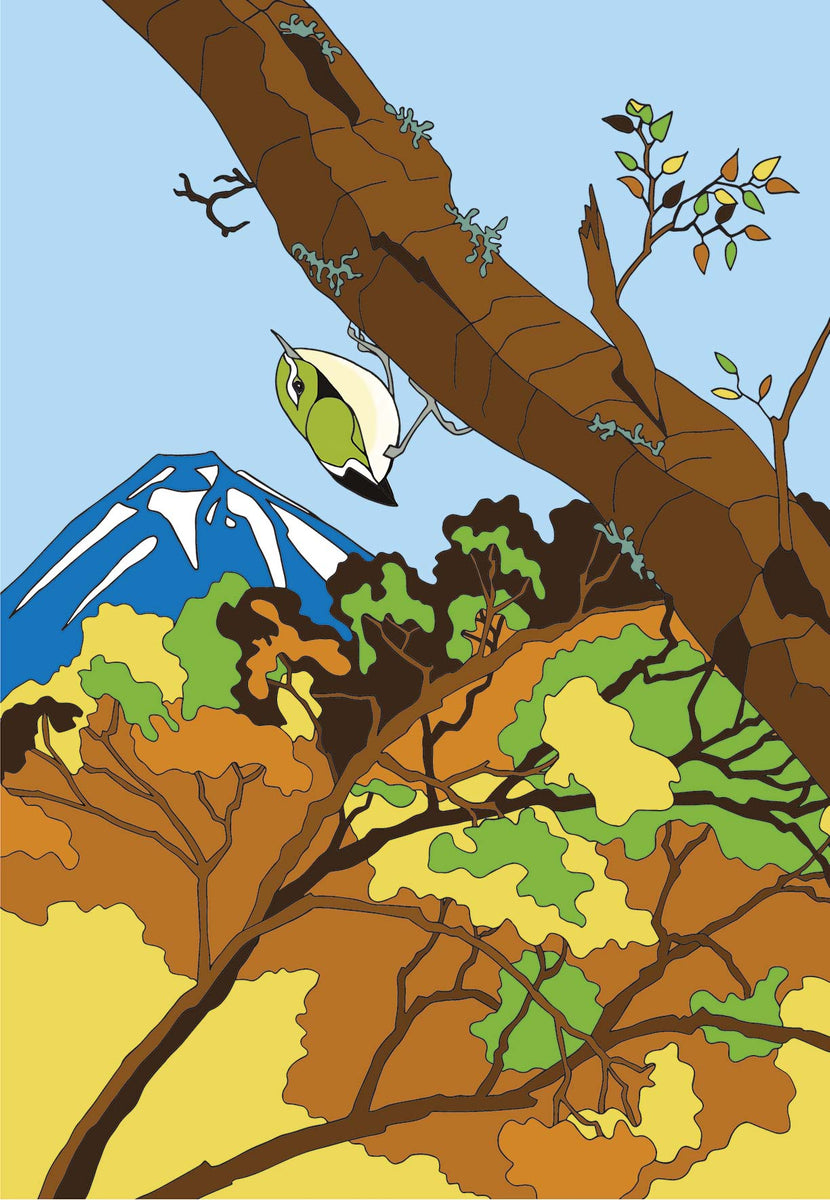 Tiki Tour - Rifleman - Titipounamu at Mt Ngauruhoe – Lianne Adams Art