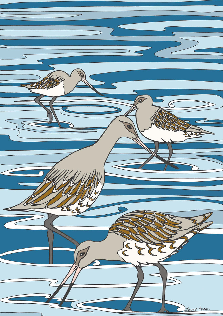 Tiki Tour - Godwits at Miranda – Lianne Adams Art